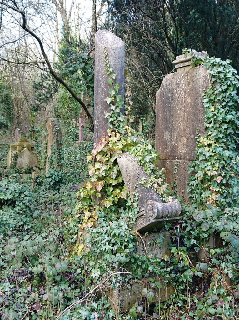 Hidden Treasures of Arnos Vale – A Visitor’s Perspective - Arnos Vale